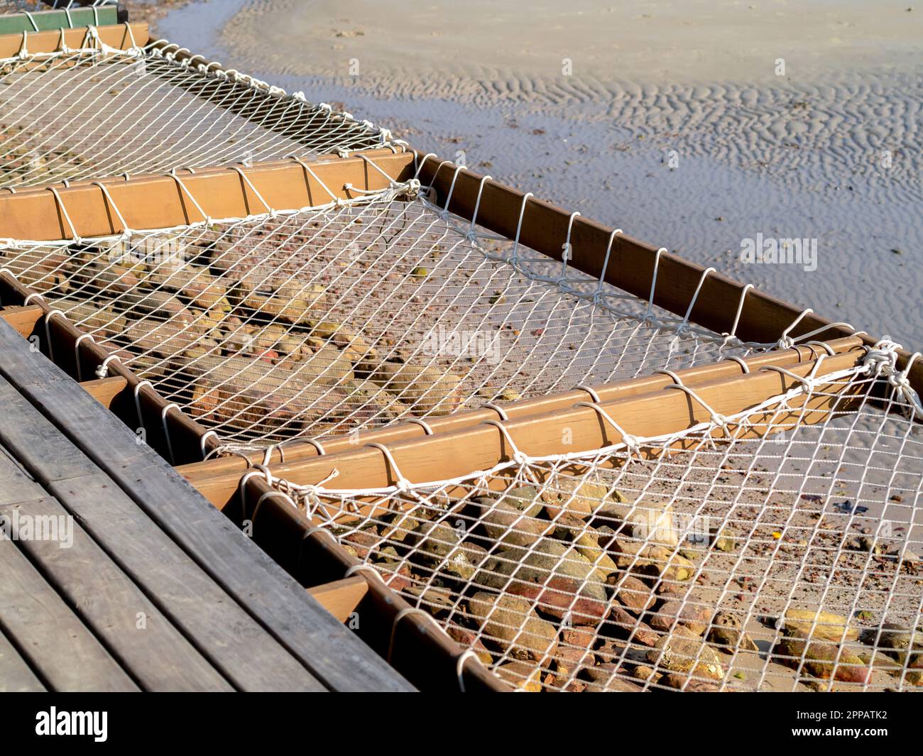 Empty net seat placed on wooden plank deck over the rock and sandy ...