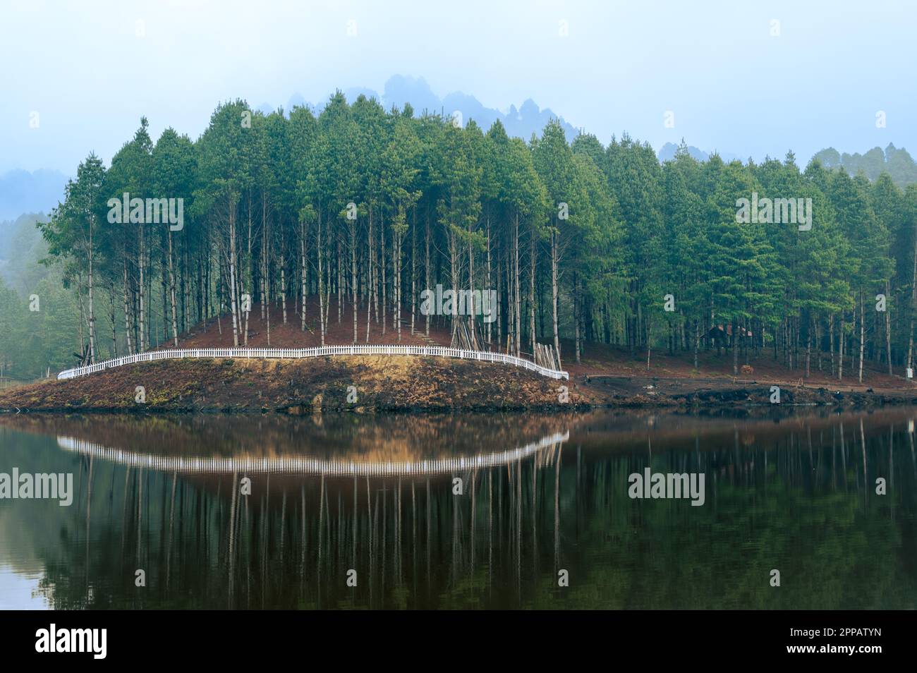 Reflection of trees in the lake. SEEH LAKE also called 'SWKHE LAKE ...