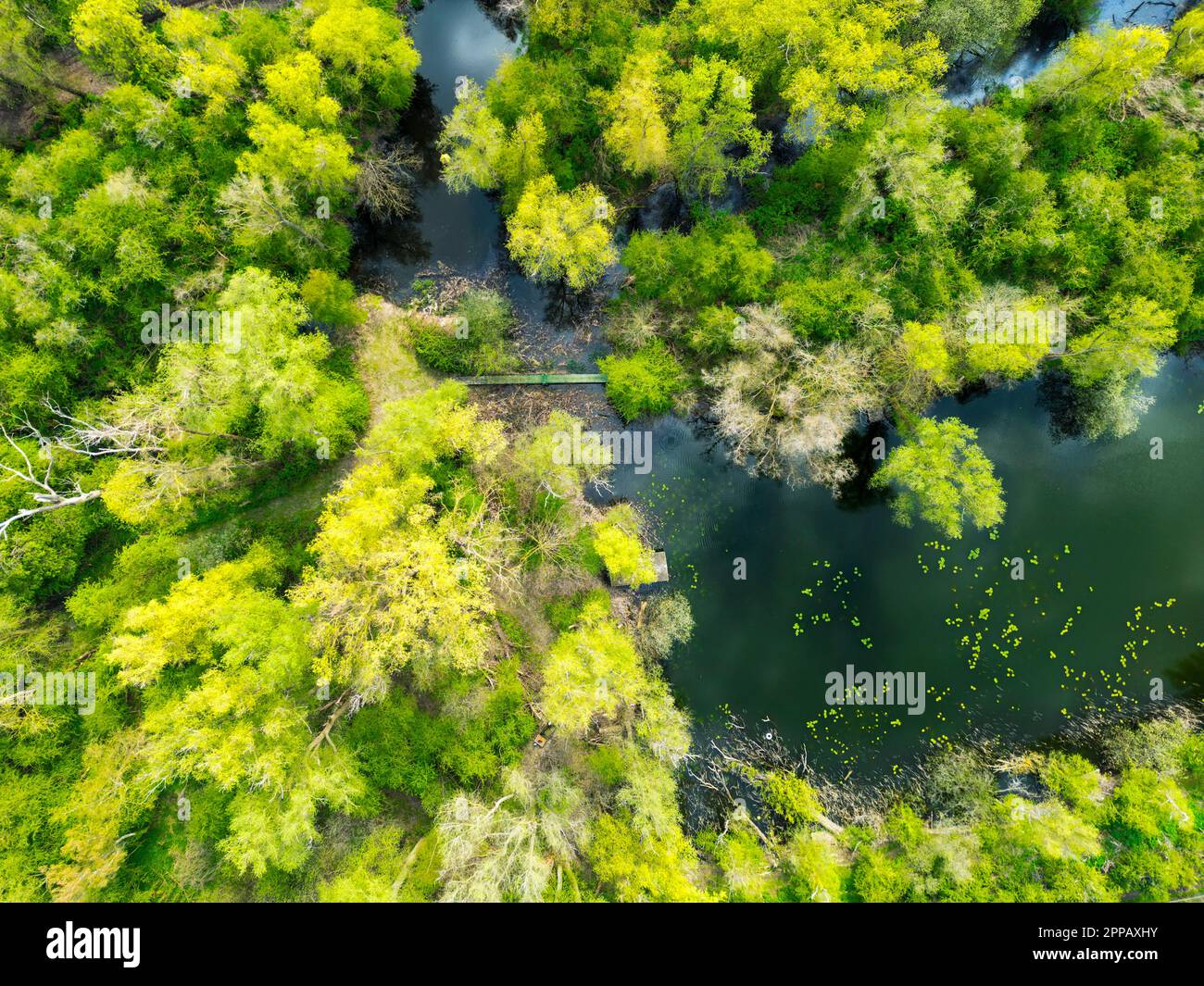 Top down view of a famous nature reserve in the UK showing lush ...