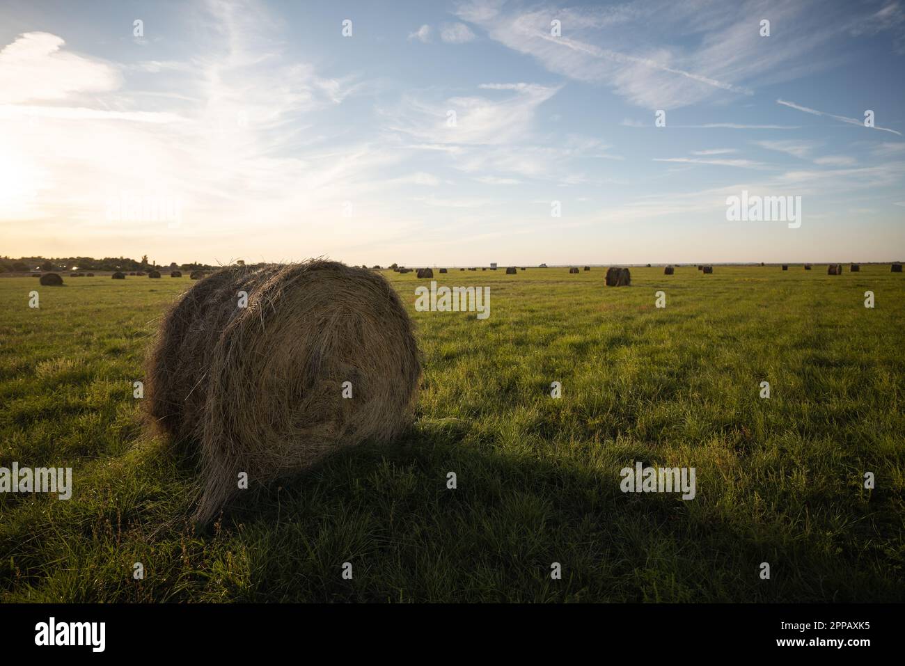 Quality hay hi-res stock photography and images - Alamy