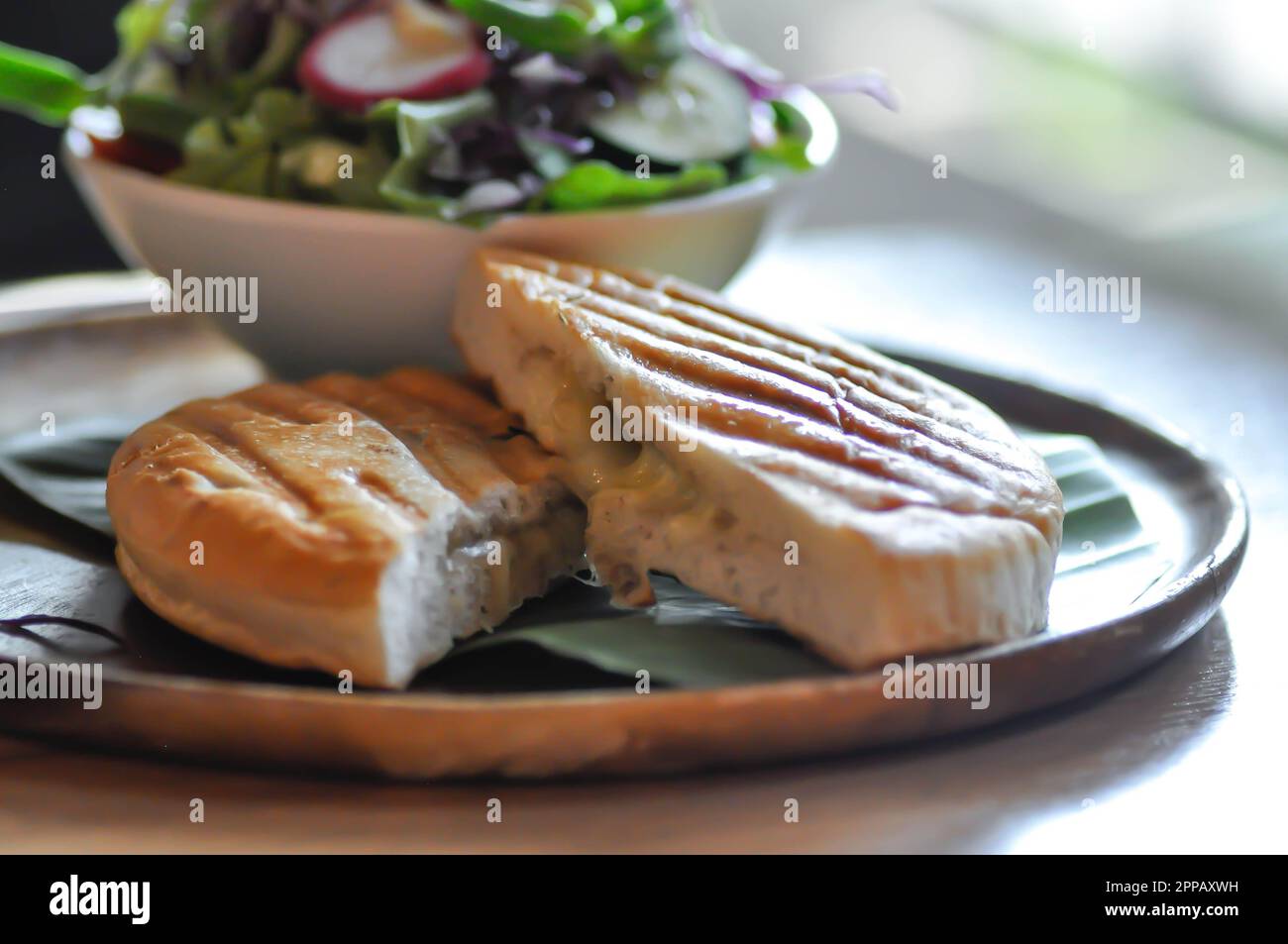 panini, italian sandwich and salad or ham and cheese sandwich for serve ...