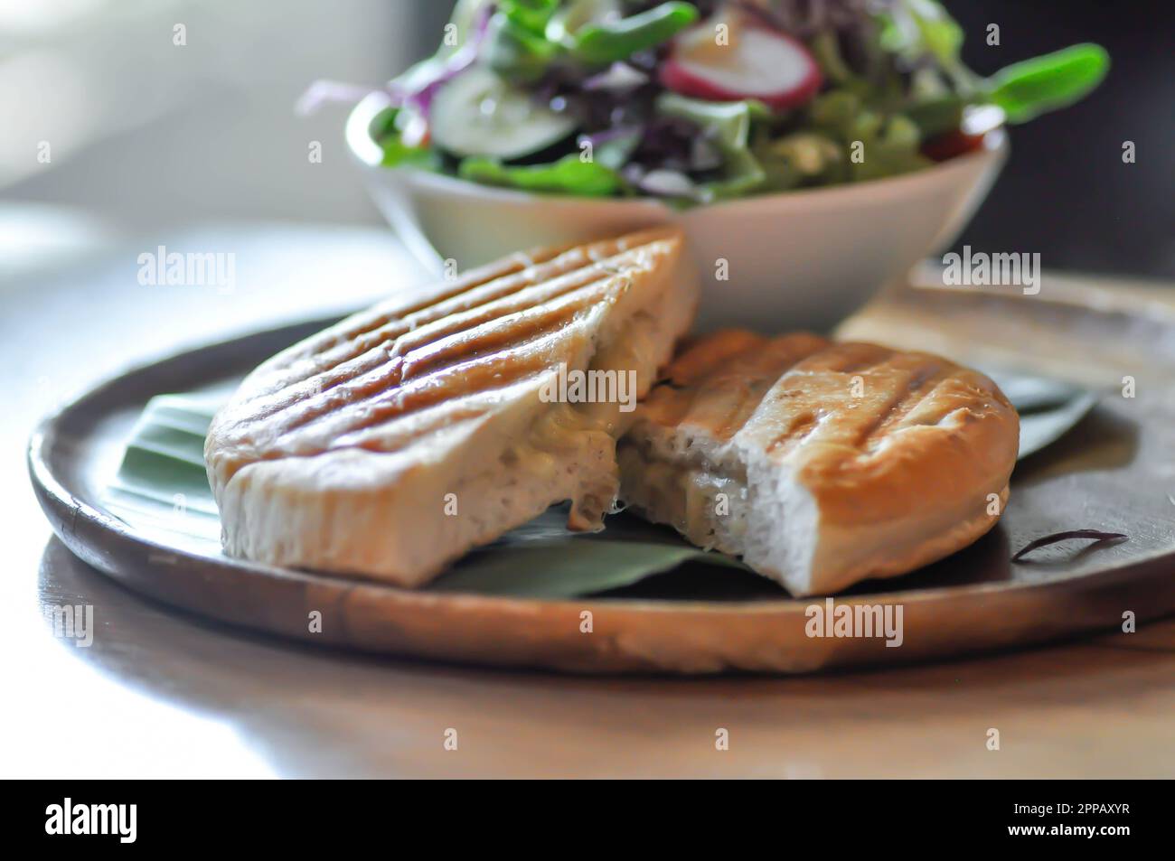 panini, italian sandwich and salad or ham and cheese sandwich for serve ...