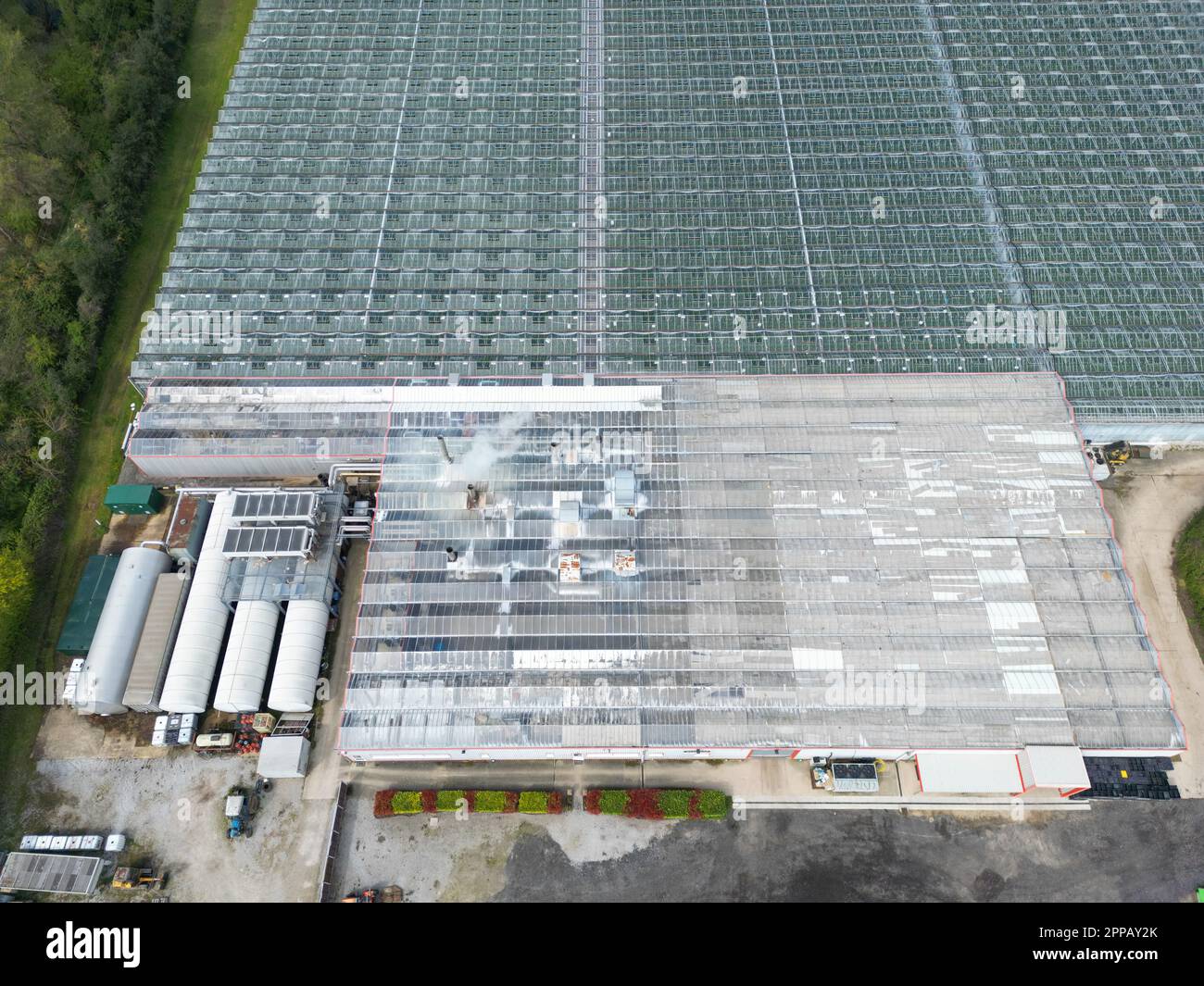 Drone view of a huge commercial glass house growing commercial plants ...