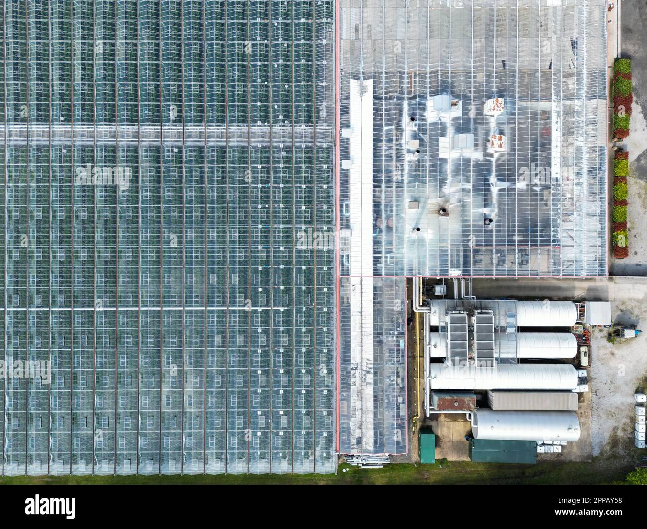 Drone view of a huge commercial glass house growing commercial plants ...