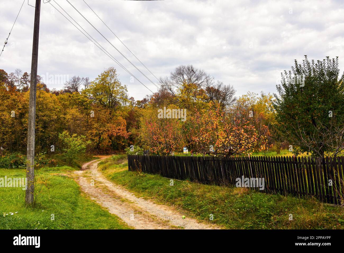 Rural country scene path winding hi-res stock photography and images ...