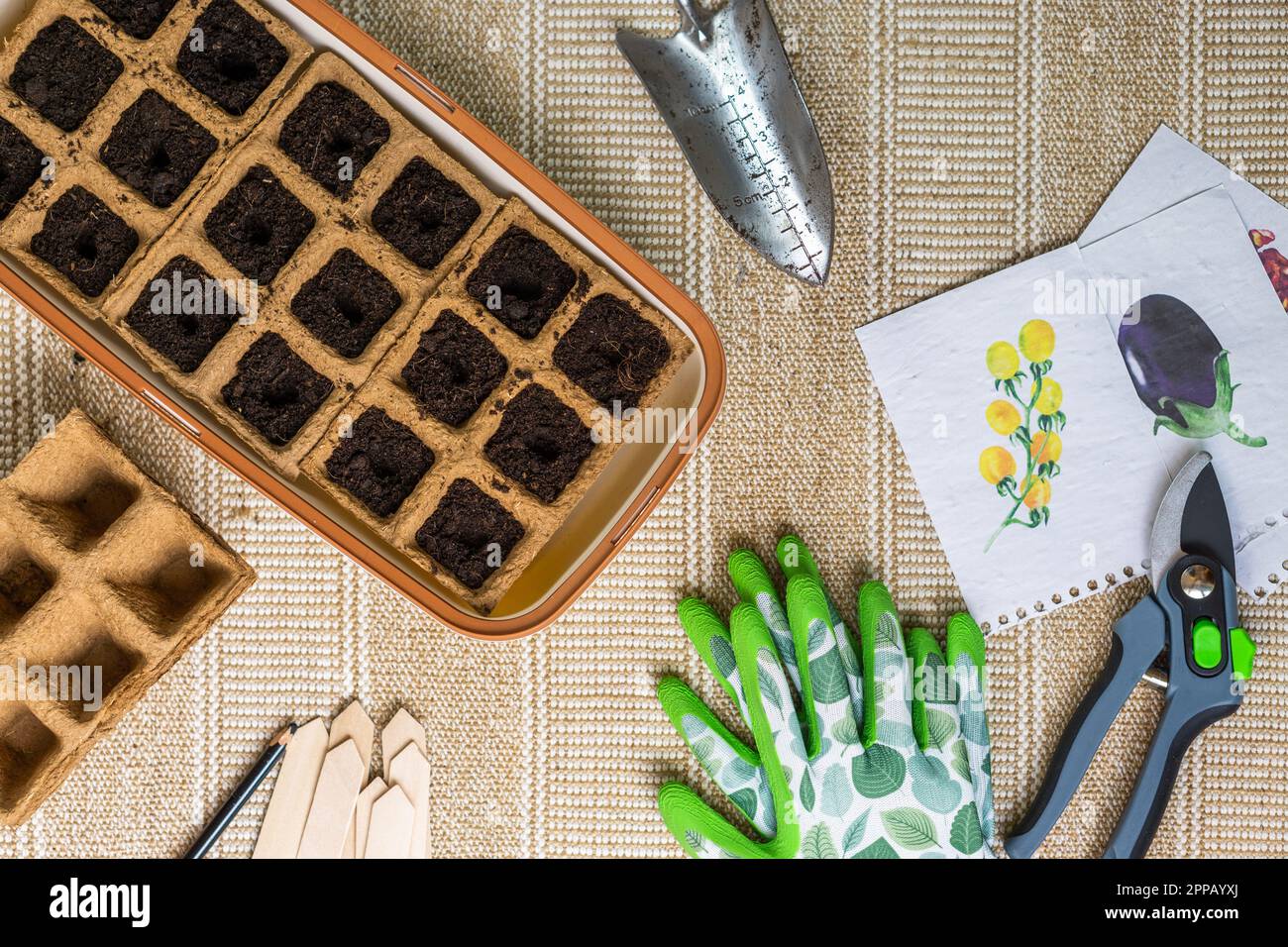 growing pots made of biodegradable cardboard with soil surrounded by a ...