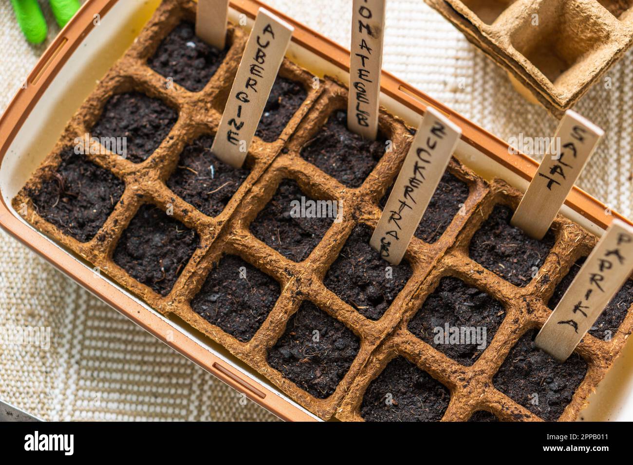 growing pots made of biodegradable cardboard with soil Stock Photo - Alamy