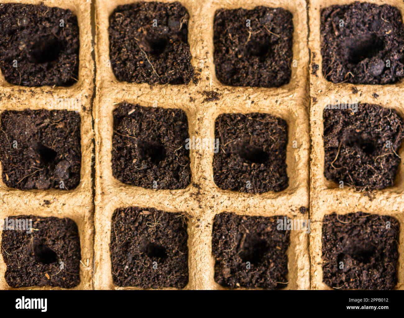 growing pots made of biodegradable cardboard with soil Stock Photo - Alamy