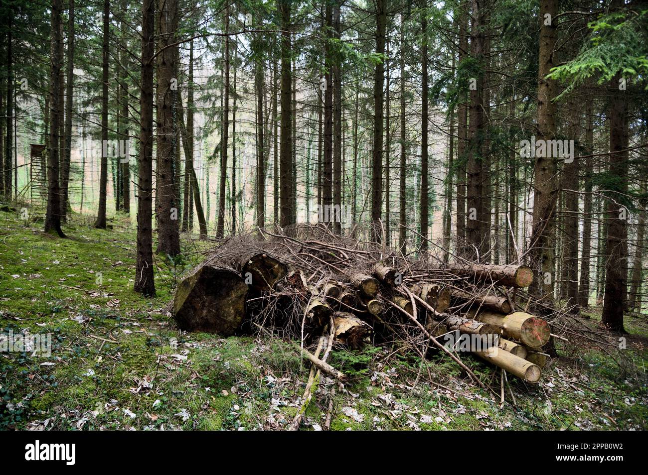 Southwest German Landscape, Balingen Baden Wuerttemberg Stock Photo - Alamy