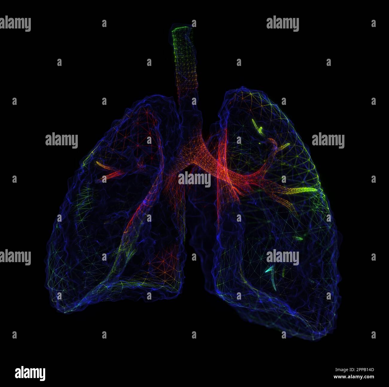 Human Lungs body. 3d lungs on body background. Human health ...