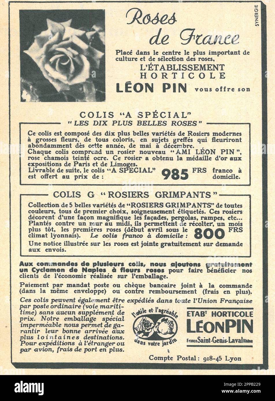 Léon Pin roses French print ad, 1950 Stock Photo - Alamy