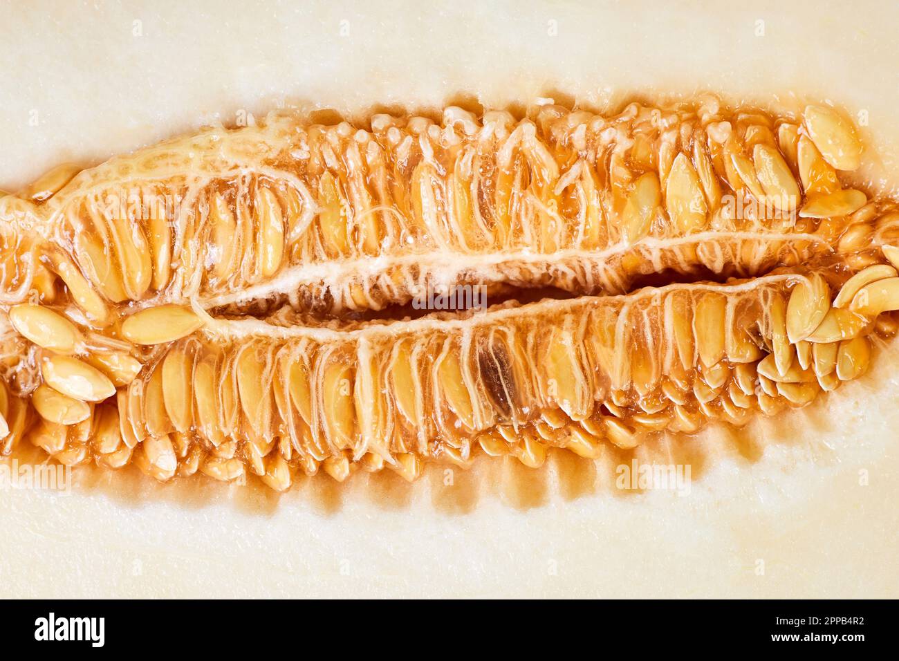 The melon pits hi-res stock photography and images - Alamy