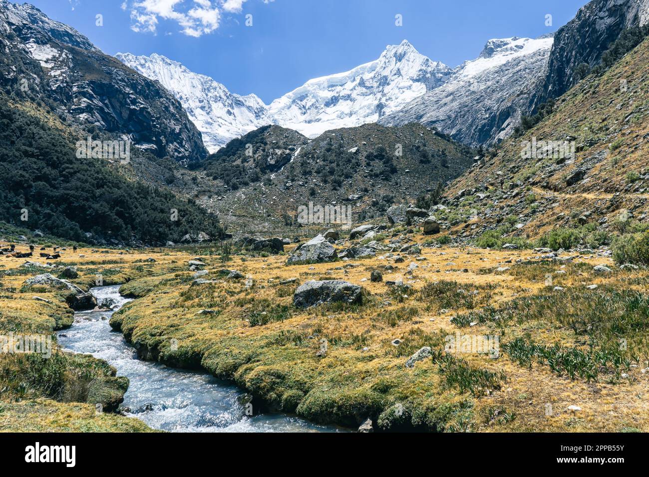 Llaca valley in Huascaran national park Peru with its turquoise water ...