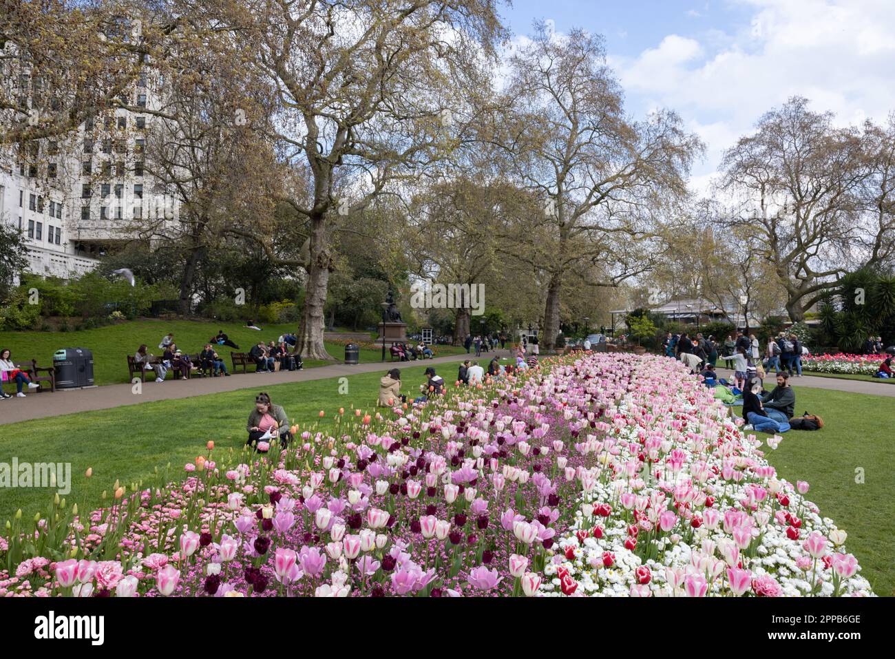 Victoria Embankment gardens with Spring Coronation display of flowers ...
