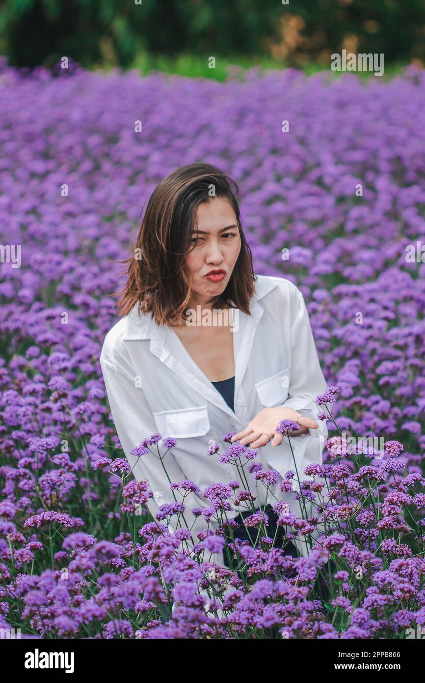 Women in the Verbena field are blooming and beautiful in the rainy ...