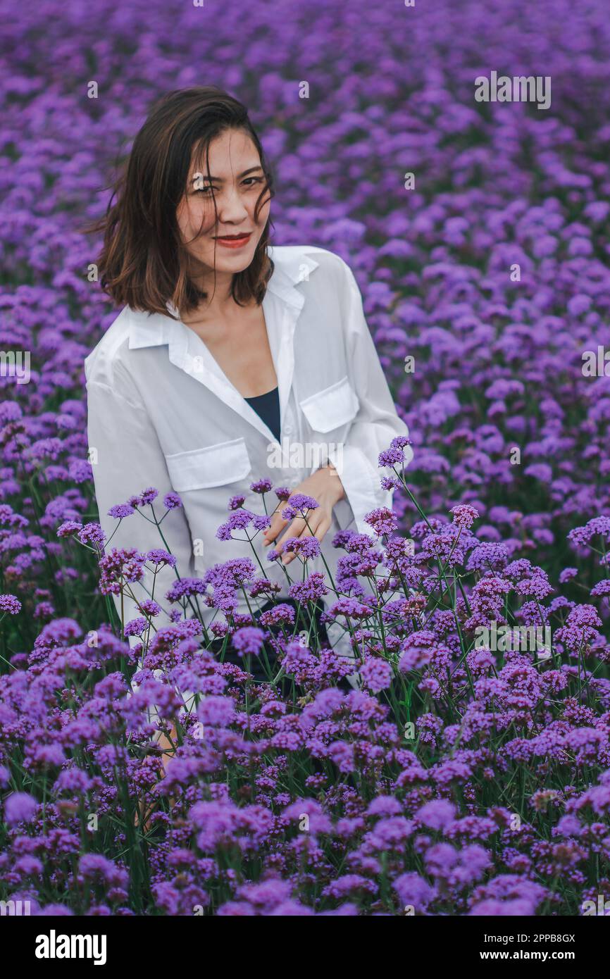 Women in the Verbena field are blooming and beautiful in the rainy ...