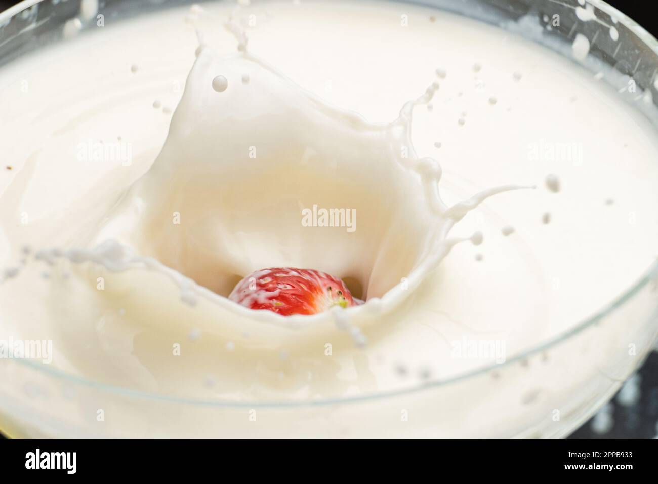 Strawberry falling into splashing milk. Isolated on white Stock Photo ...