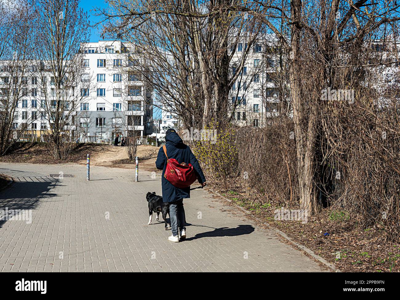Walker With Dog In Gleisdreieck Park, Berlin, Germany Stock Photo - Alamy