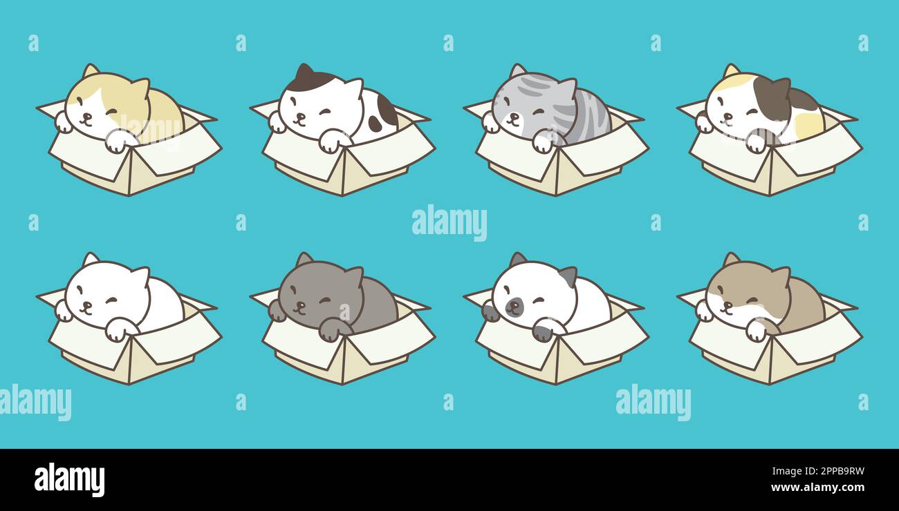 cat vector icon kitten calico box character illustration cartoon doodle ...