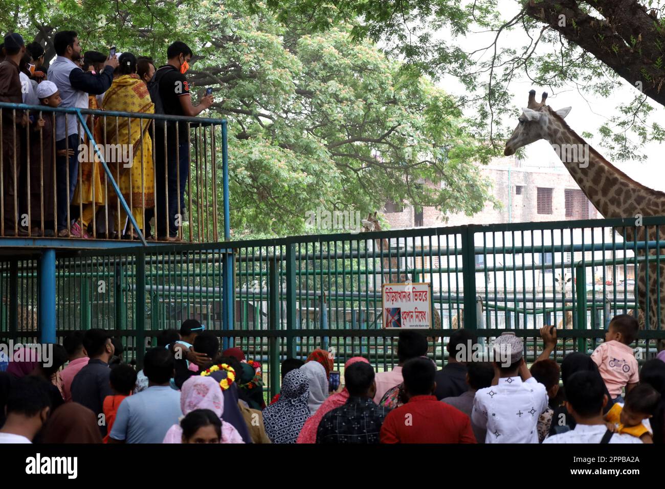 Dhaka, Dhaka, Bangladesh. 23rd Apr, 2023. Visitors at Dhaka National Zoo are celebrating the ...