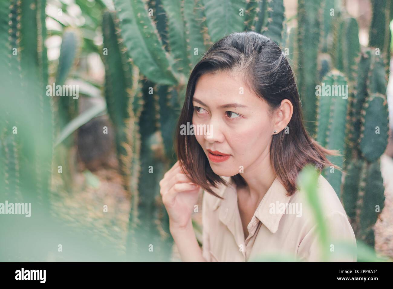 Sitting cactus woman hi-res stock photography and images - Alamy