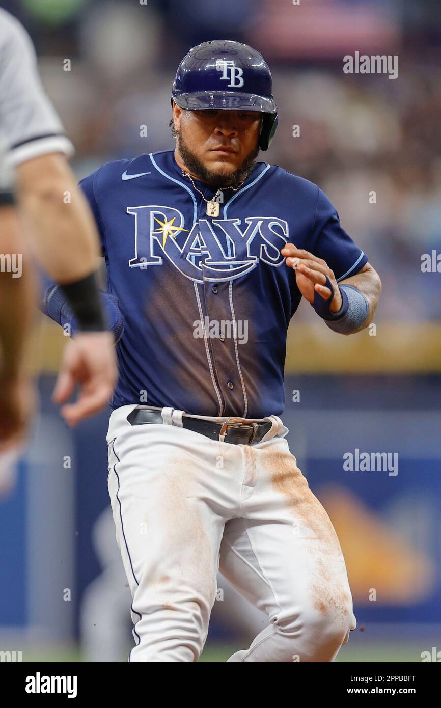 St. Petersburg, FL USA; Tampa Bay Rays left fielder Harold Ramirez (43 ...