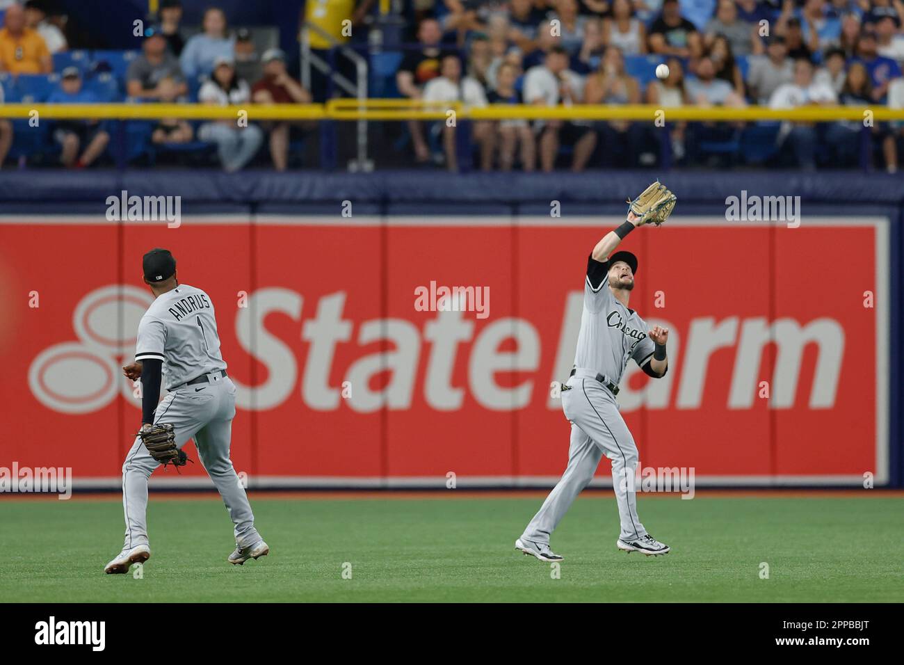 St. Petersburg, FL USA; Chicago White Sox left fielder Andrew ...