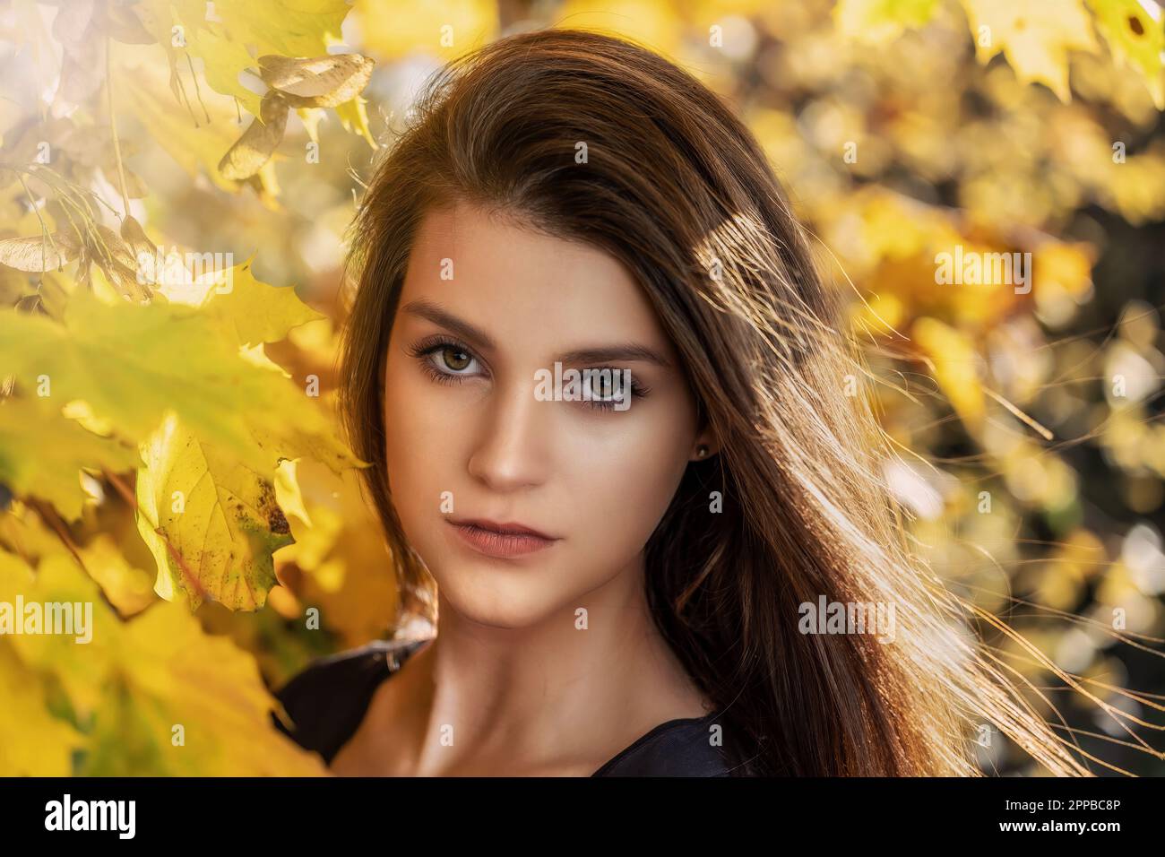 Portrait Of Attractive Long Haired Brunette Girl Posing Behind Yellow
