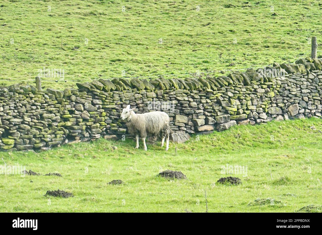 Wall shelters hi-res stock photography and images - Alamy