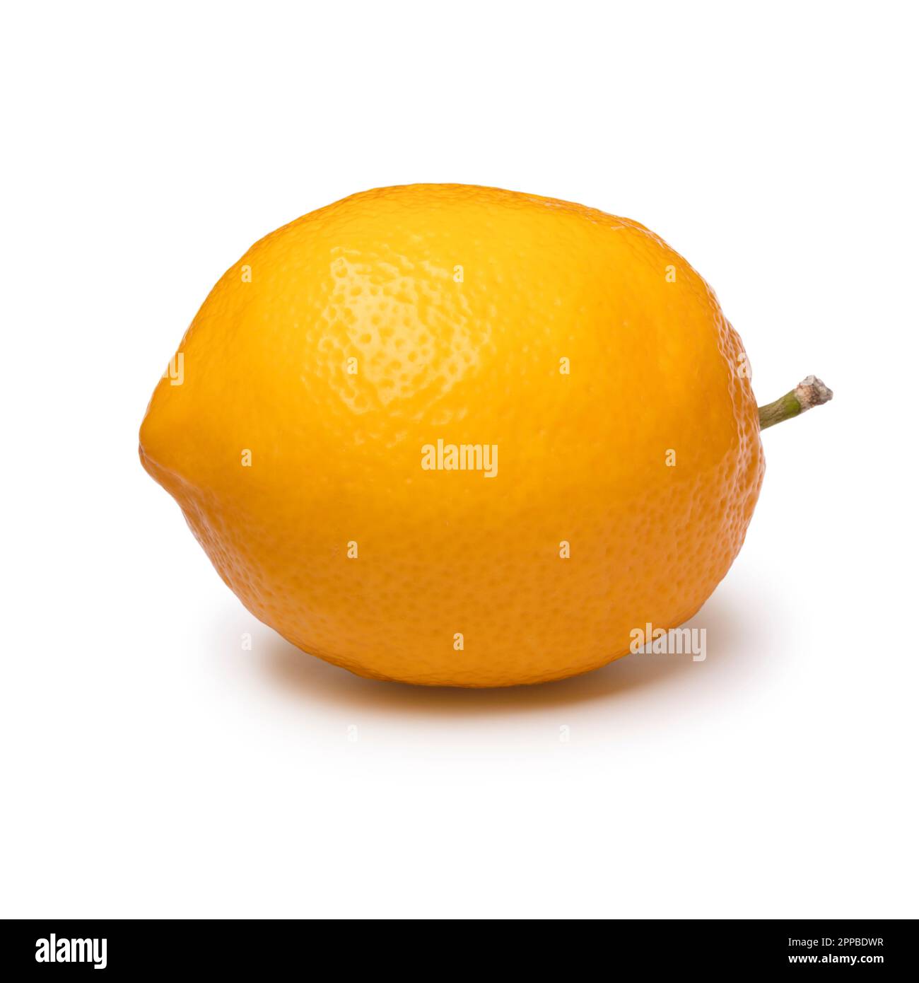 Whole single fresh Meyer lemon close up isolated on white background ...