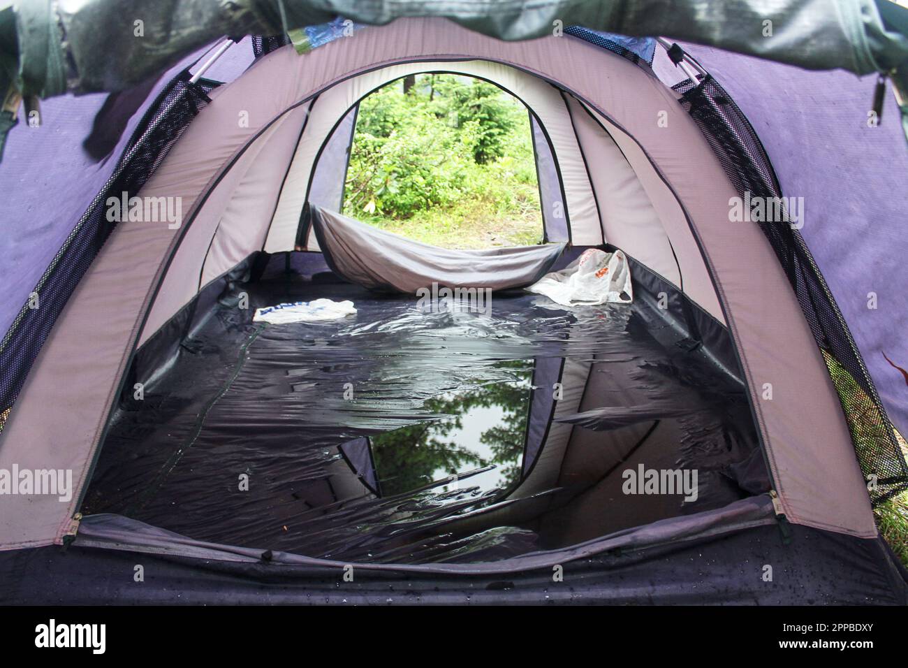 A puddle inside a bad tourist tent after a rainstorm. The choice of ...