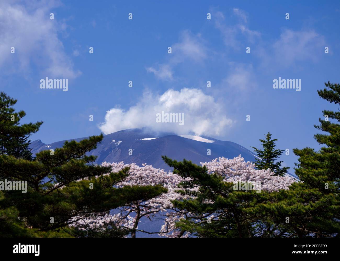 Karuizawa, Japan. 17th Apr, 2023. White smoke above the summit of Mount ...