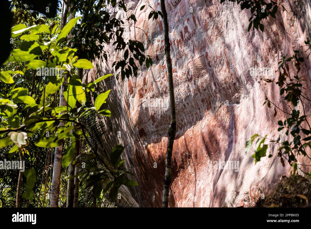 Rock paintings in Cerro Azul in the Chiribiquete National Park, a ...