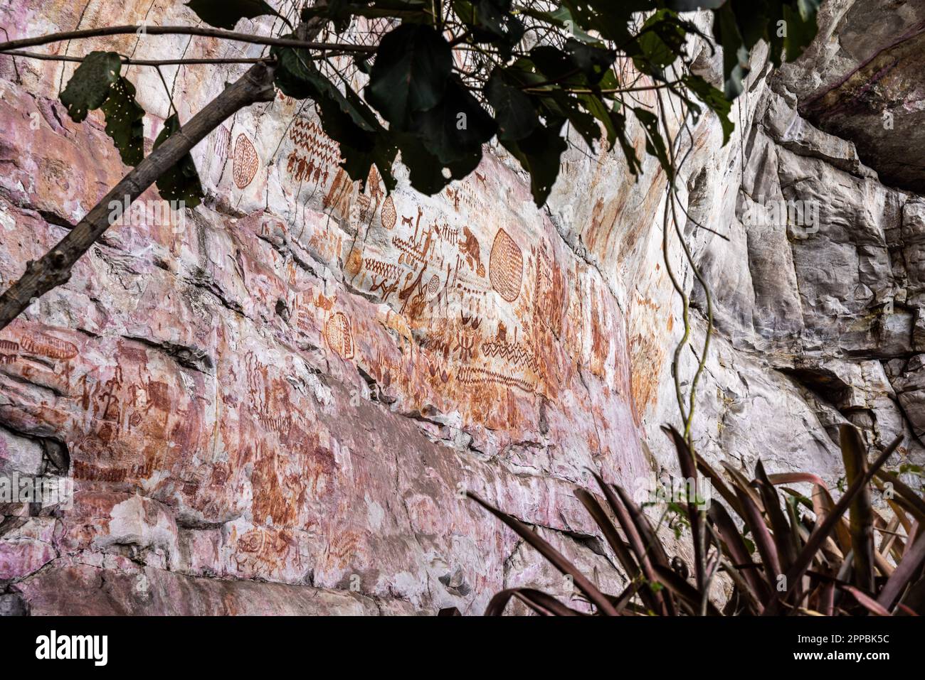 Rock paintings in Cerro Azul in the Chiribiquete National Park, a ...