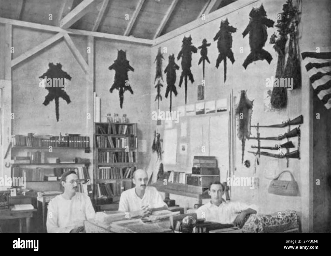 Charles William Beebe Stock Photo - Alamy