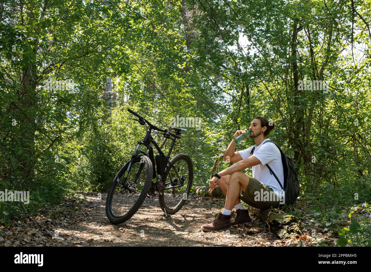 Riding in forest hi-res stock photography and images - Alamy