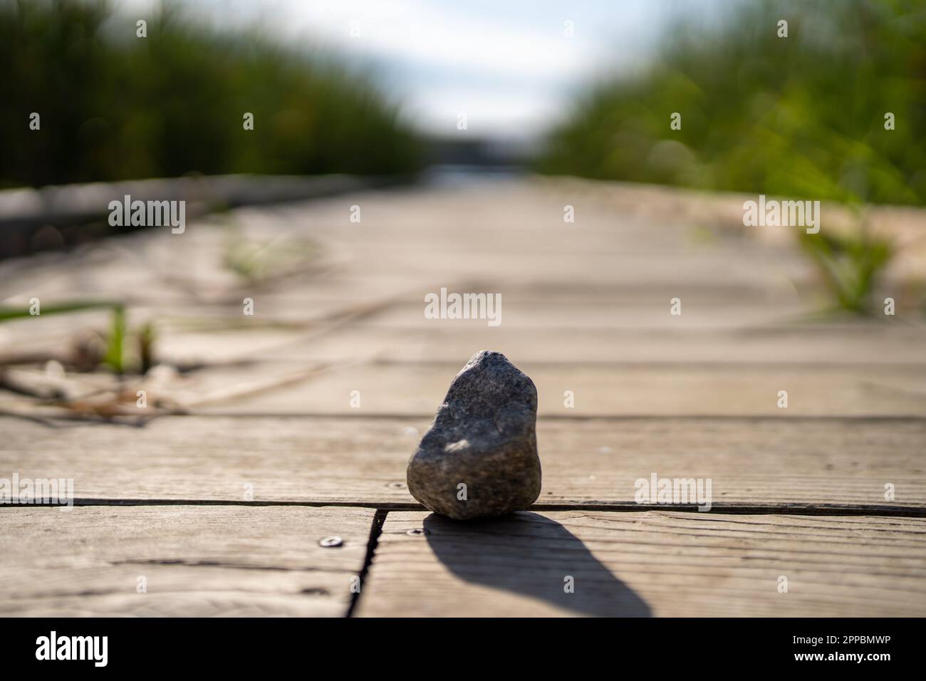 small stone sitting on the middle of a boardwalk through a wetland park ...