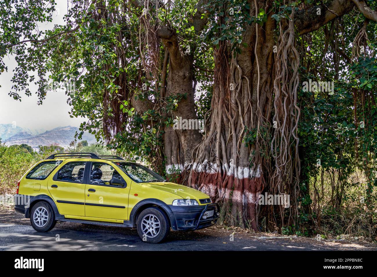 Petrol under shade of banyan tree western ghats maharashtra indi hi-res stock photography and ...