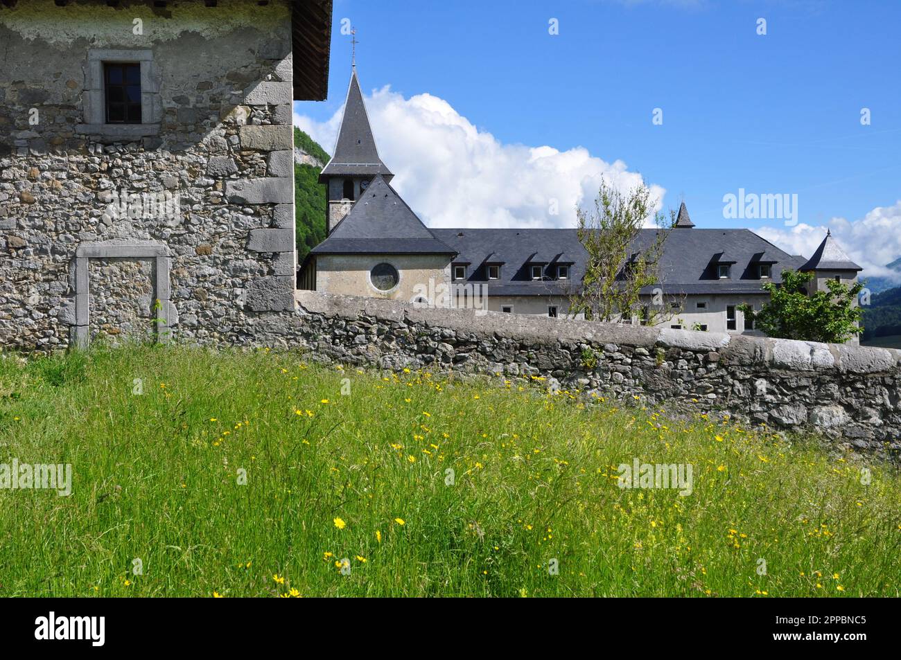 Tamie cheese hi-res stock photography and images - Alamy