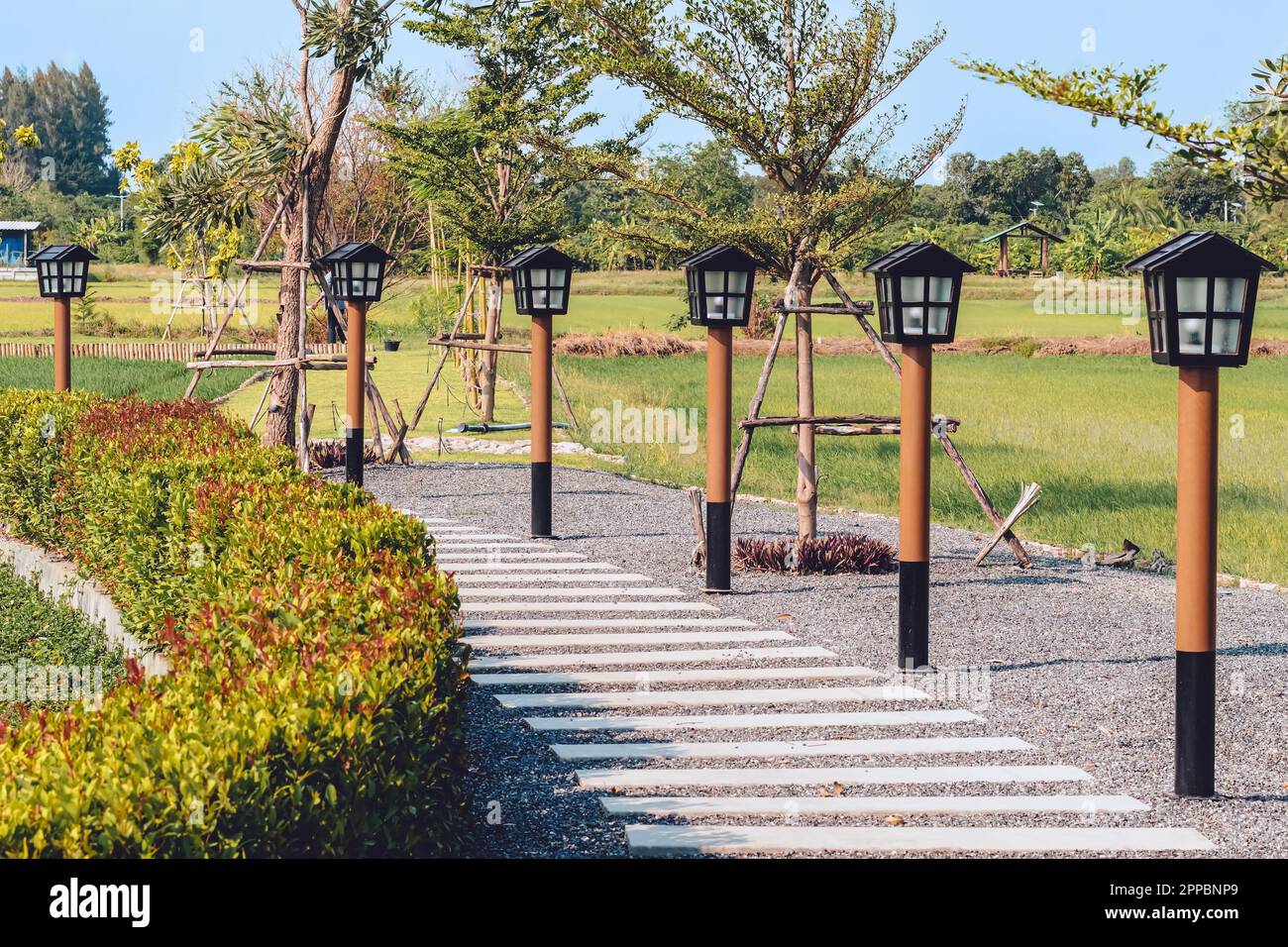 Beautiful view of outdoor lamps on walkway for garden lighting in ...