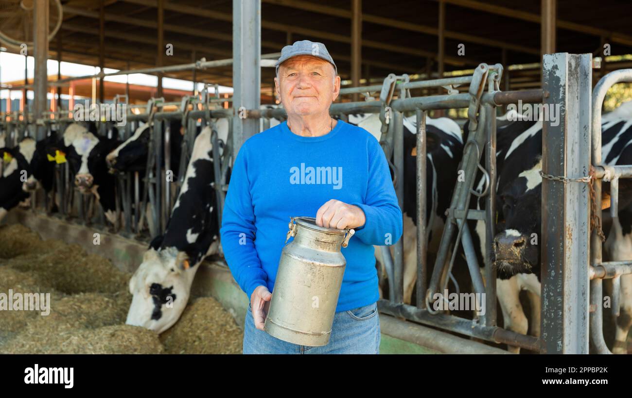 Elderly male owner with milk can standing in stall on background with ...