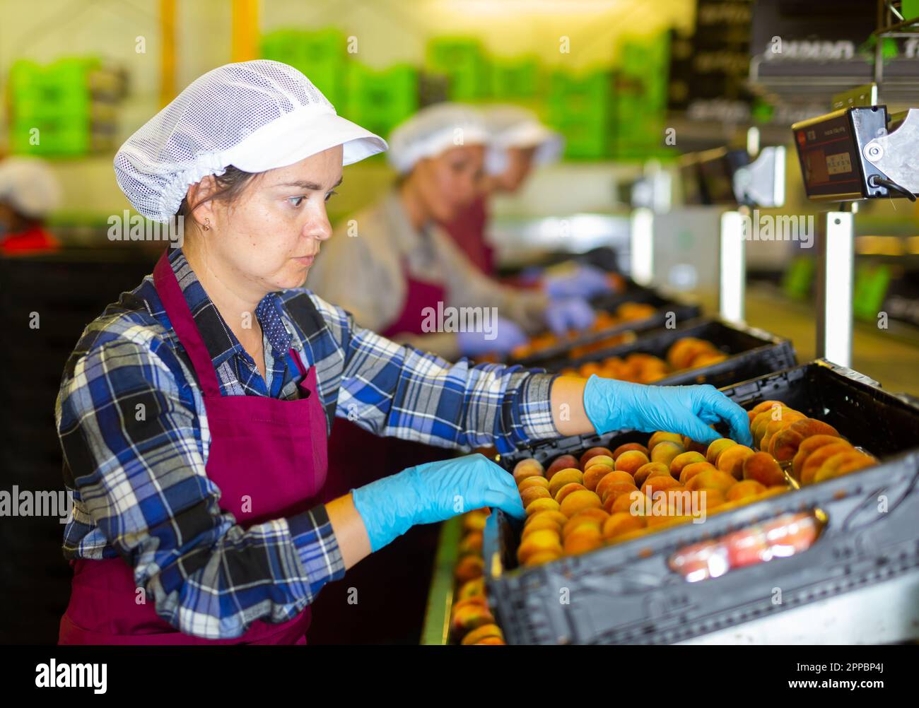Portrait of positive woman with peaches in her hands next to fruit ...