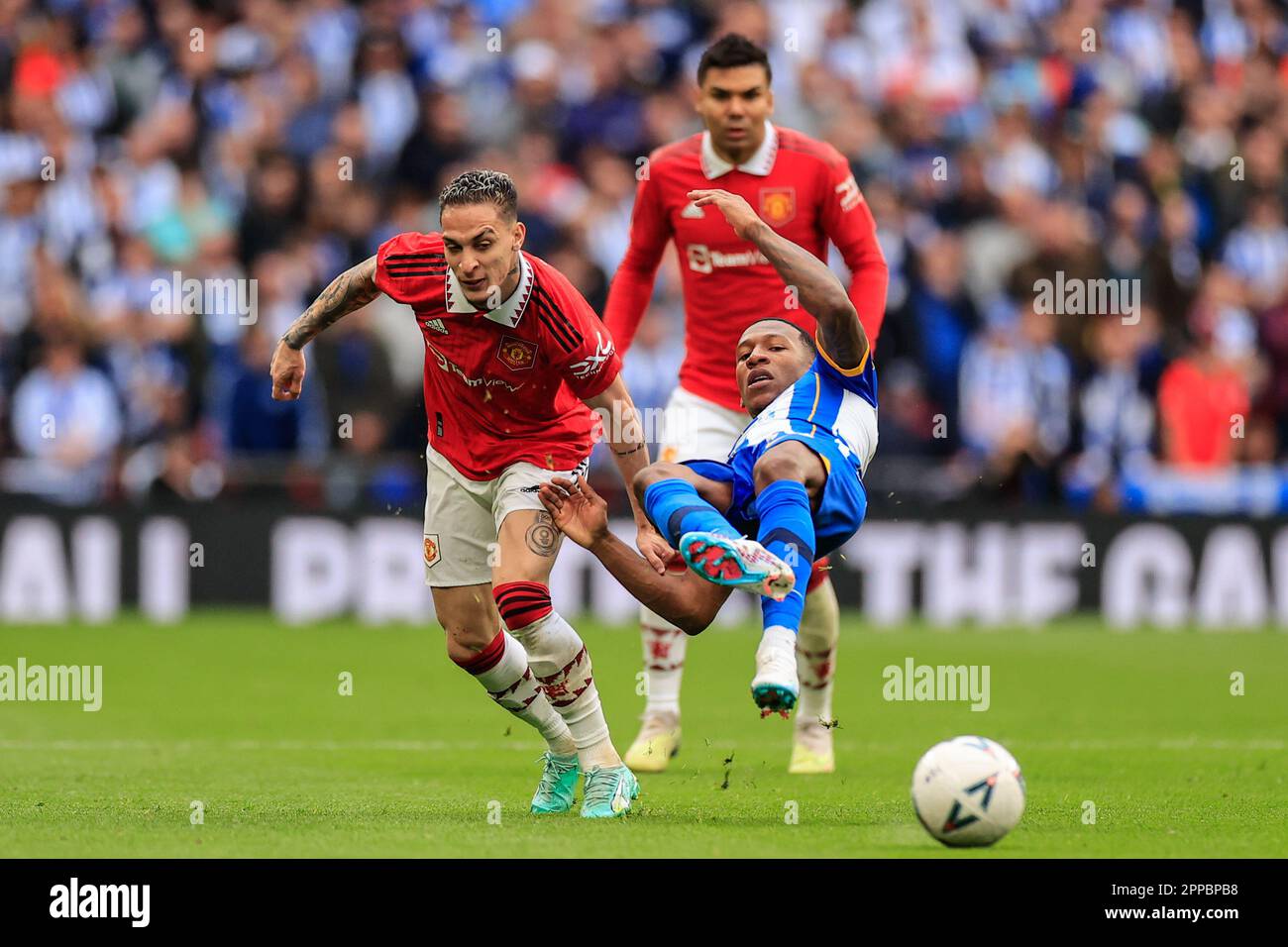 Brighton pervis estupinan hi-res stock photography and images - Alamy