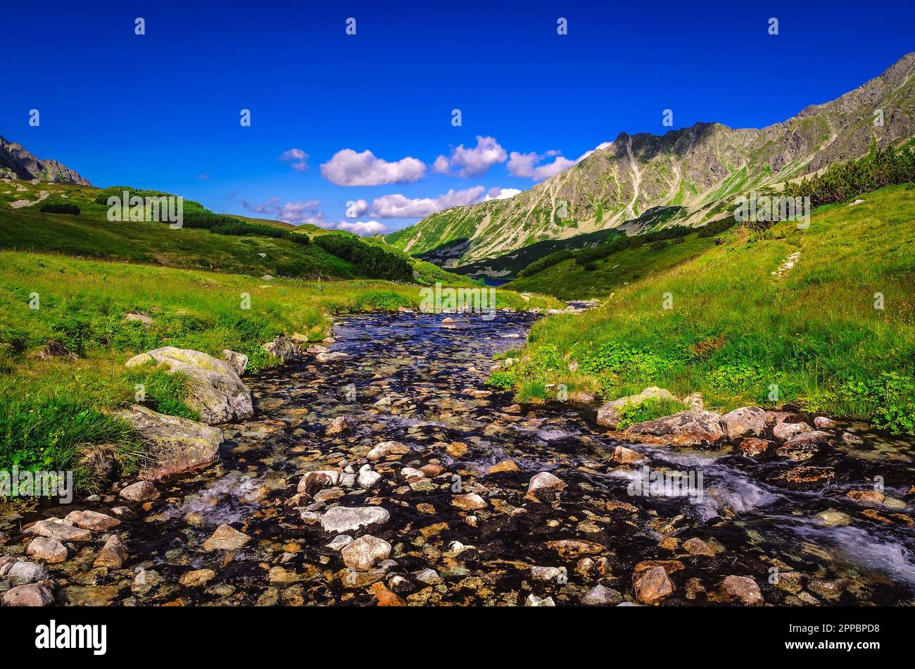 Beautiful summer mountain landscape with a river theme. Picturesque ...