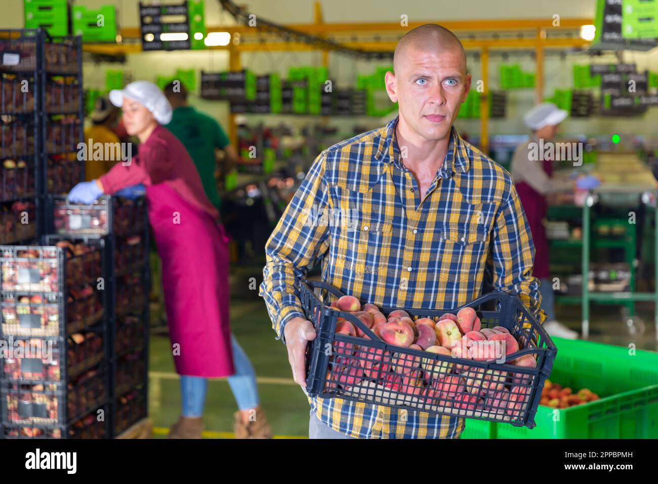 European Woman and man working Stock Photo - Alamy