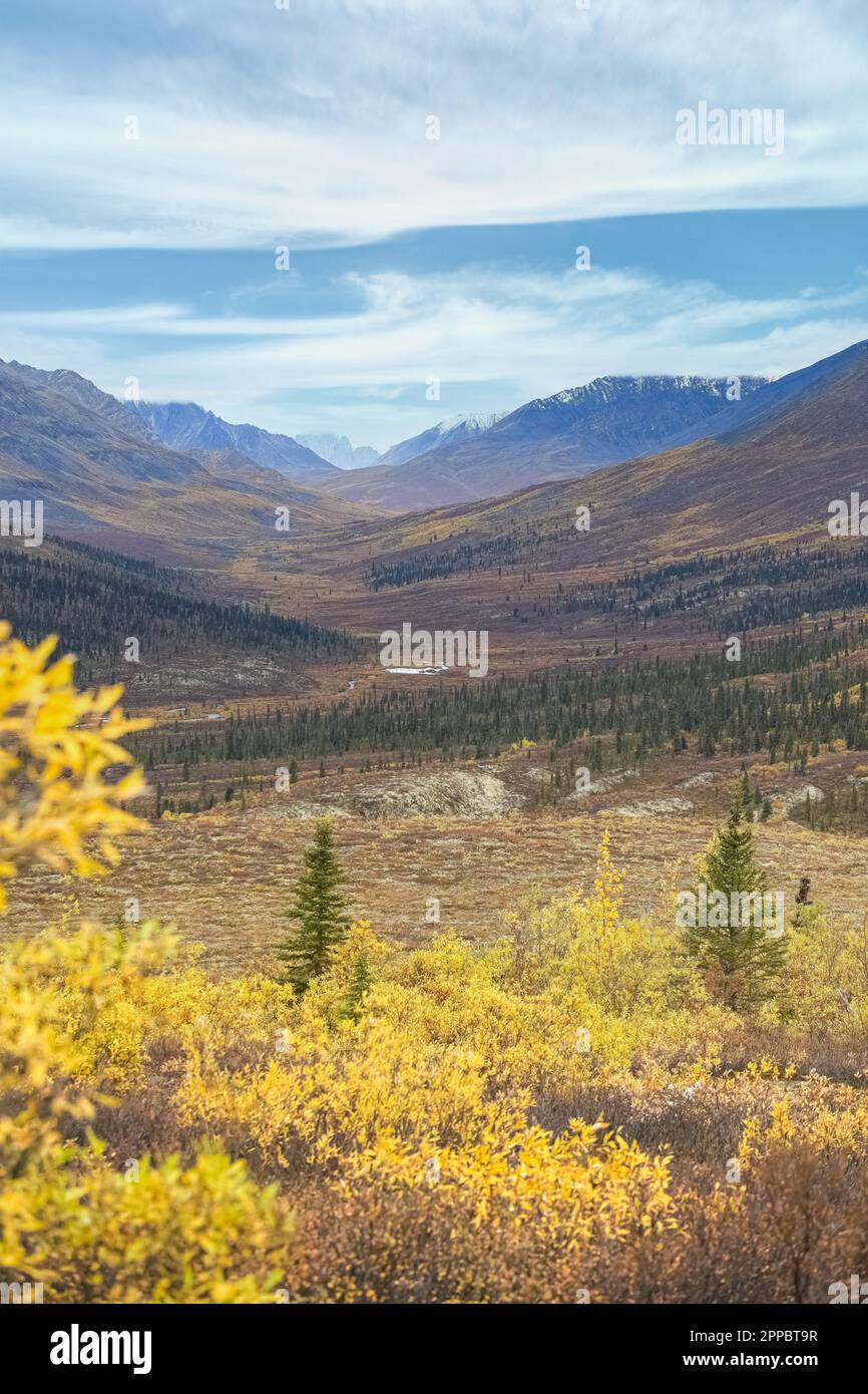 Canada, Yukon, view of the tundra in autumn, with mountains in ...