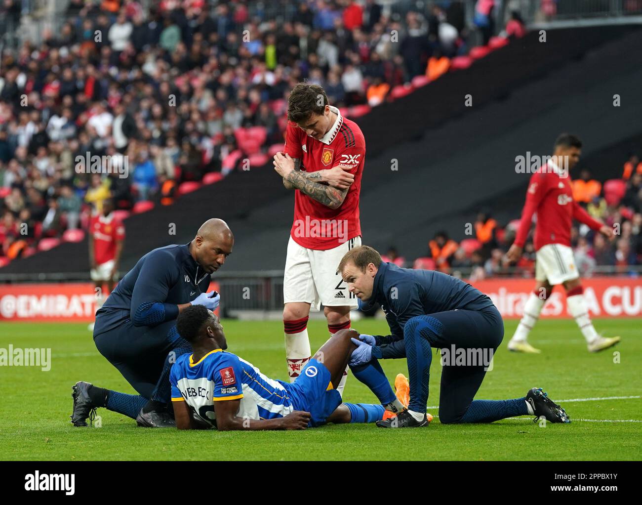 Brighton and Hove Albion's Danny Welbeck receives treatment for an ...