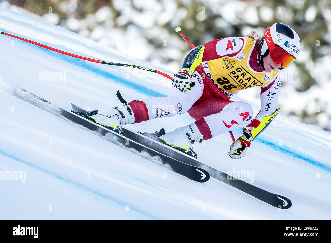 Heider michaela hi-res stock photography and images - Alamy