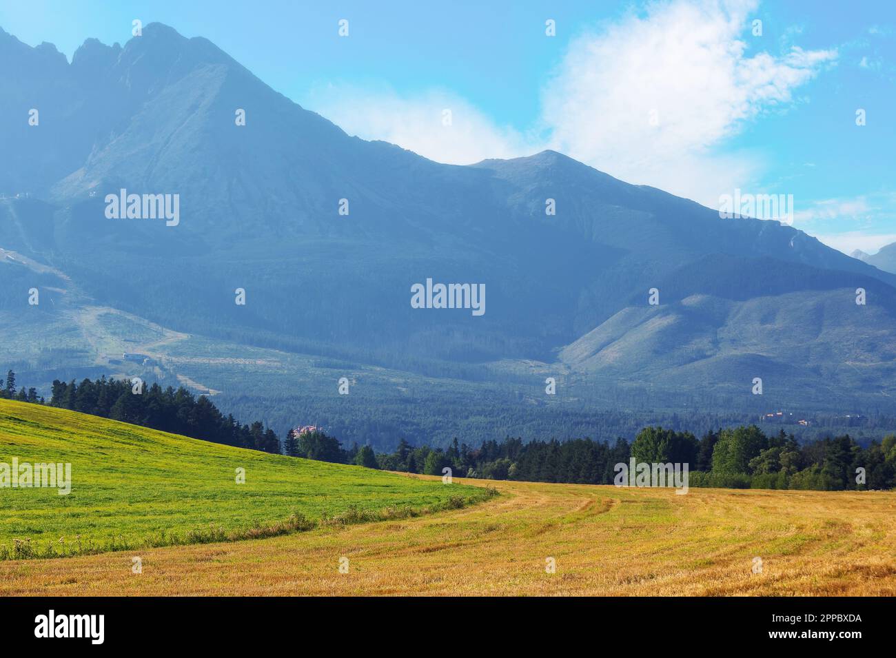 scenic rural tatra mountain landscape in slovakia. agricultural fields ...