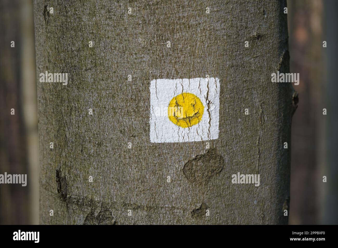 Yellow point trail marking with scratched smiley Stock Photo - Alamy
